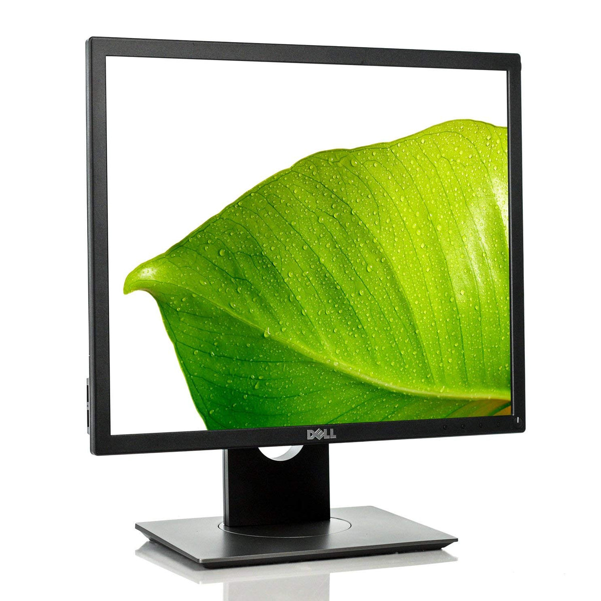 Dell P1917S Professional 19" Square Monitor LED – simplyshopping.in