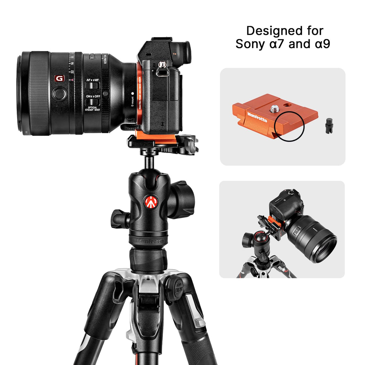 Manfrotto MKBFRLA-BH Befree Advanced Lever Alpha Tripod Kit ...